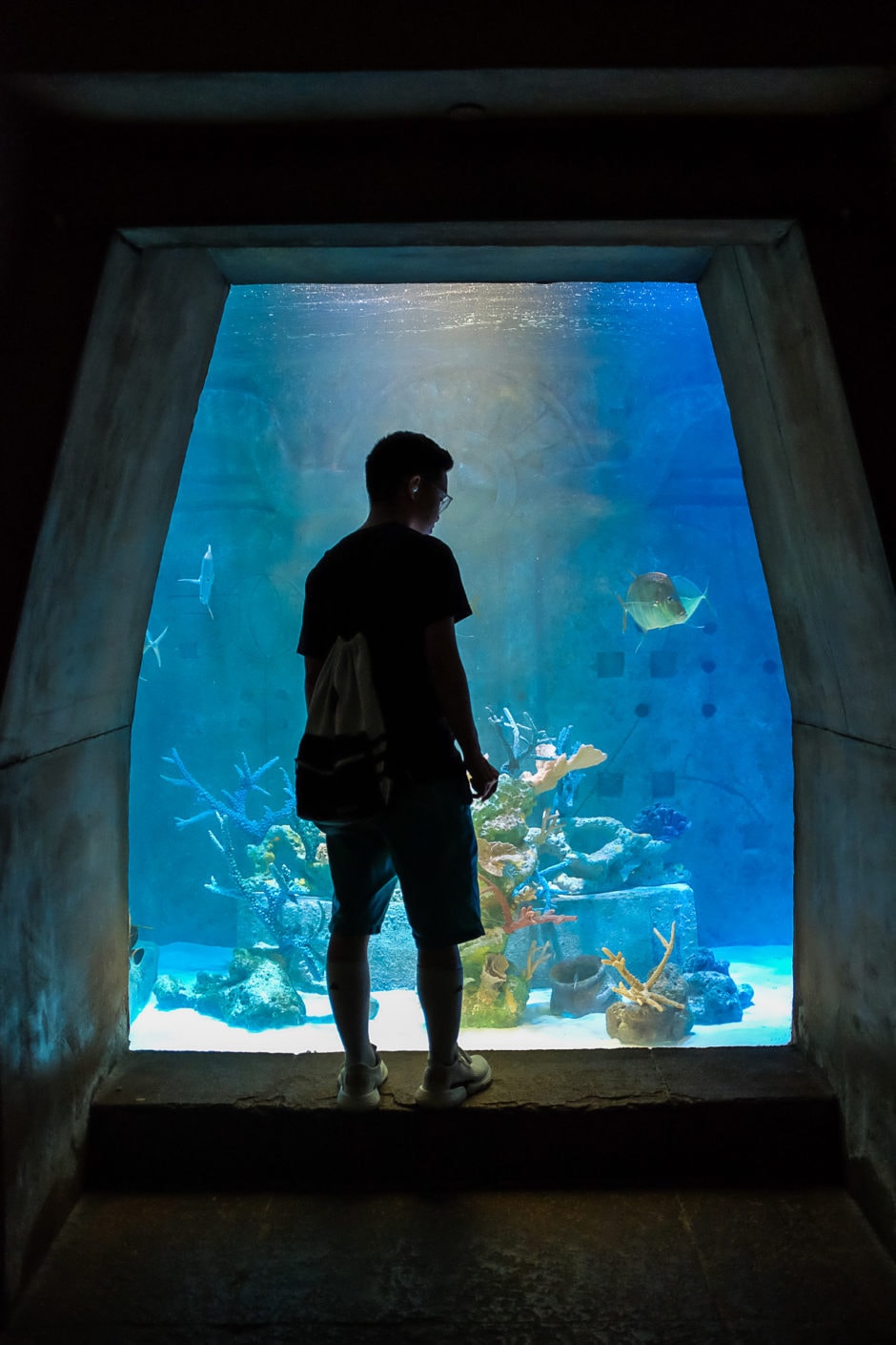 A Day in Nassau – Exploring Atlantis and Lunching at Oh Andros | 10nineteen