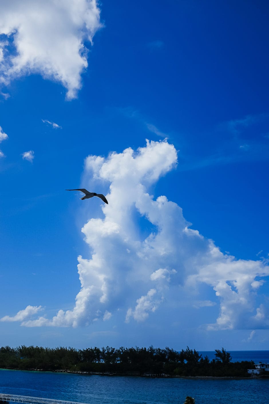 A Day in Nassau – Exploring Atlantis and Lunching at Oh Andros | 10nineteen