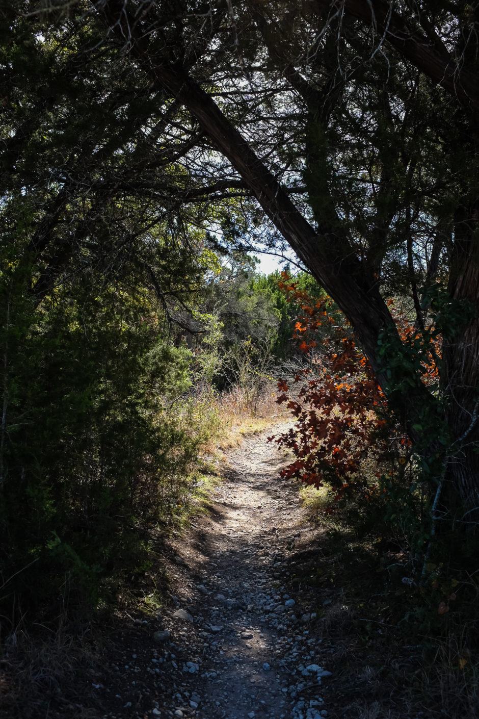 Hiking at Doeskin Ranch | 10nineteen