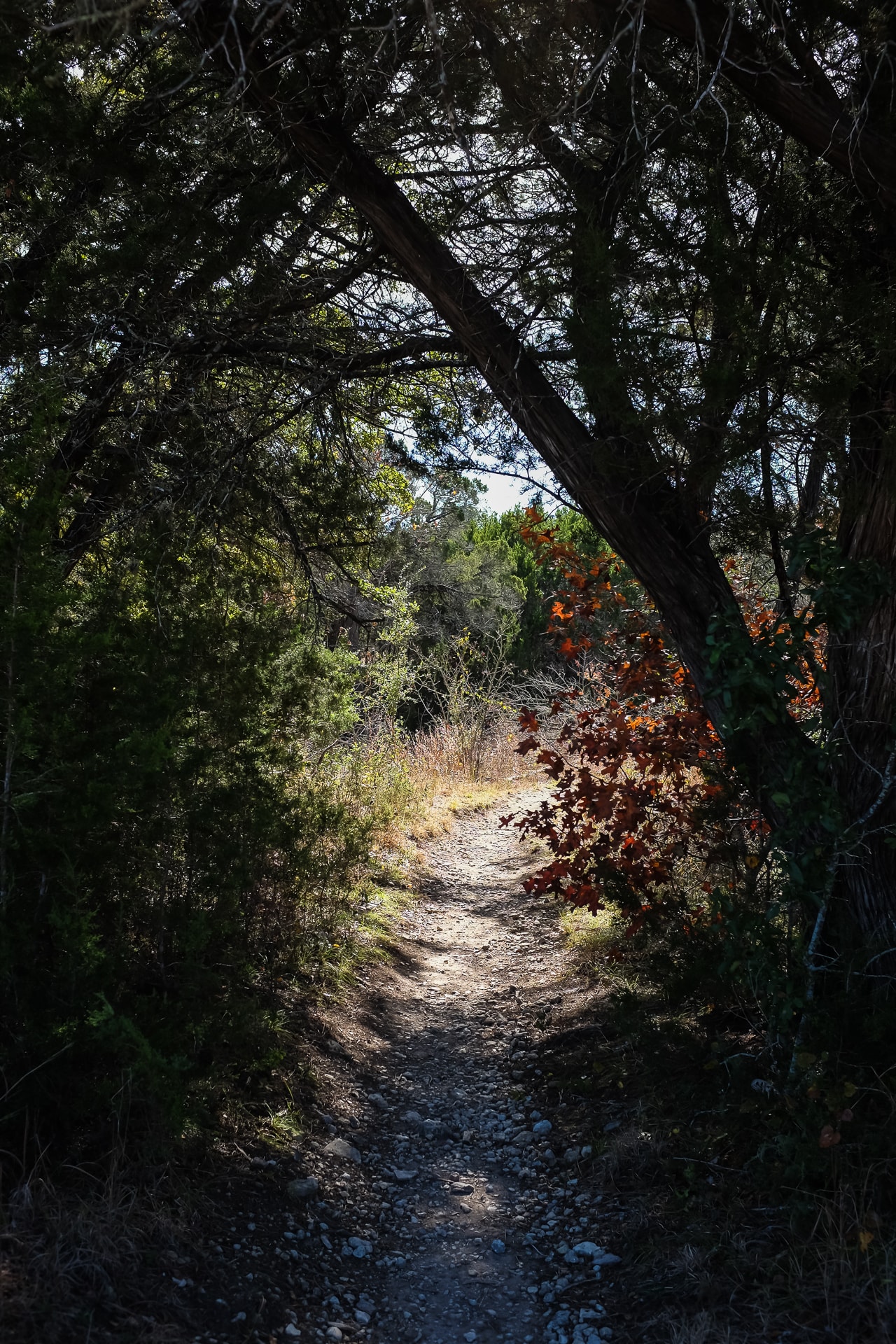 Hiking at Doeskin Ranch | 10nineteen