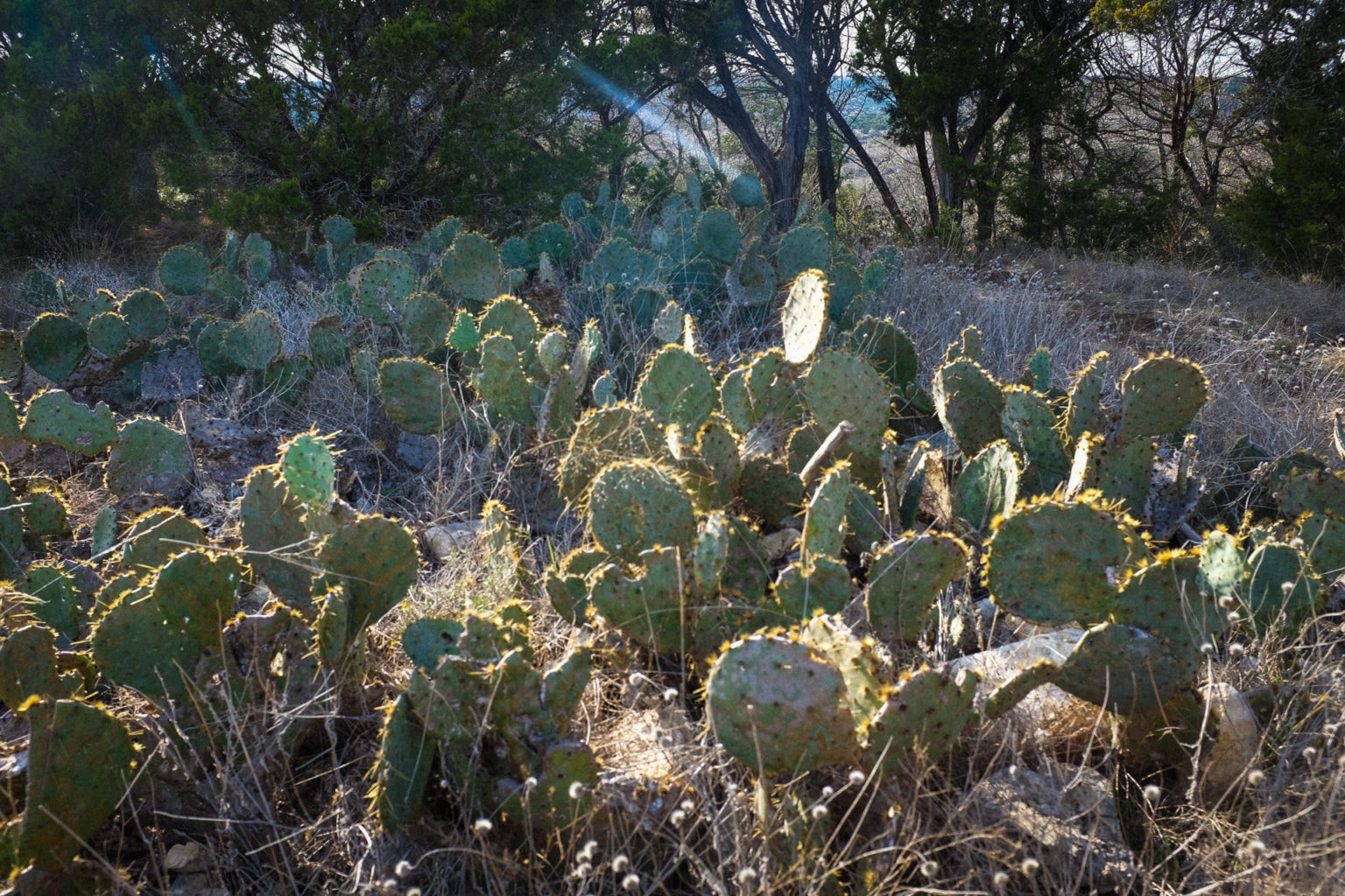Hiking Indiangrass Trail at Doeskin Ranch | 10nineteen