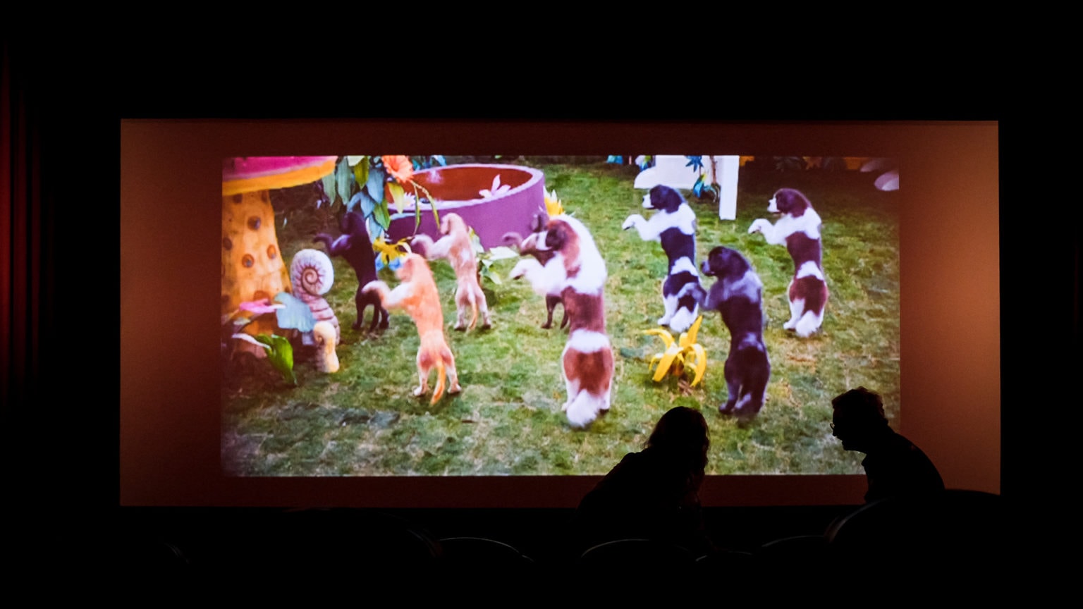 CGI Dogs | 10nineteen