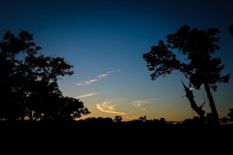 Another Fine Sunset | 10nineteen