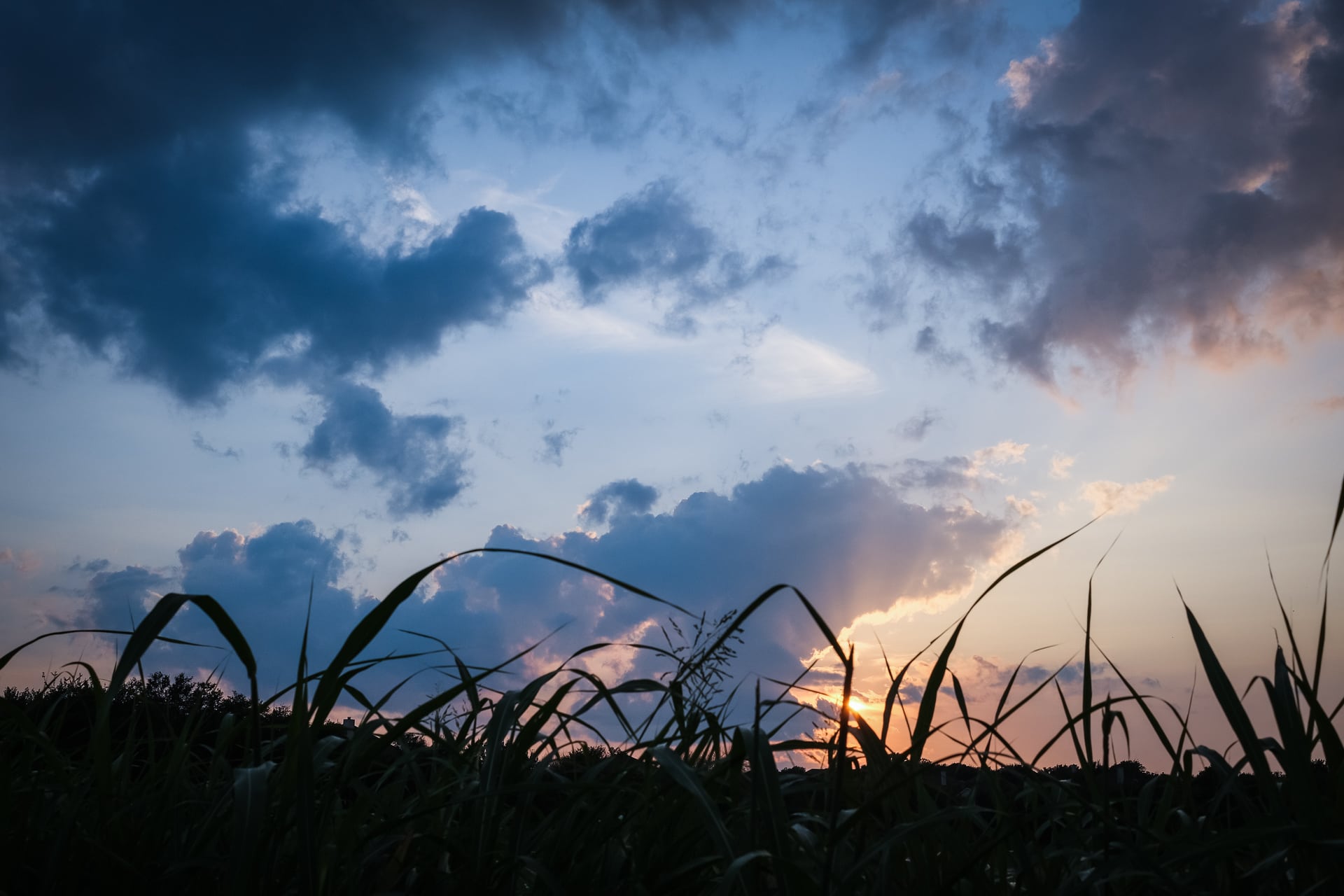 Tag: sunset | 10nineteen