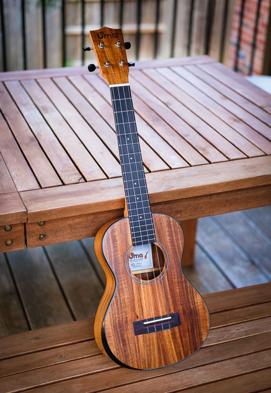 Uma Baby-T Ukulele | 10nineteen